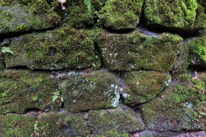 Old Stone Wall Overgrown with Moss Stock Image - Image of weathered ...