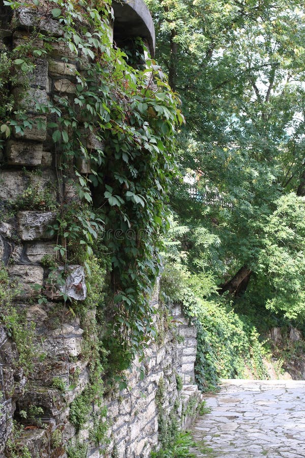 Old Stone Wall with Rounded Corner and Ivy Branches Stock Image - Image ...