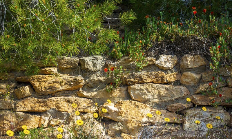 Spanish Stone Wall Picture. Image: 251201