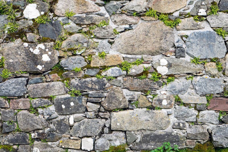 Green Moss on an Old Stone Wall Stock Image - Image of macro, closeup ...