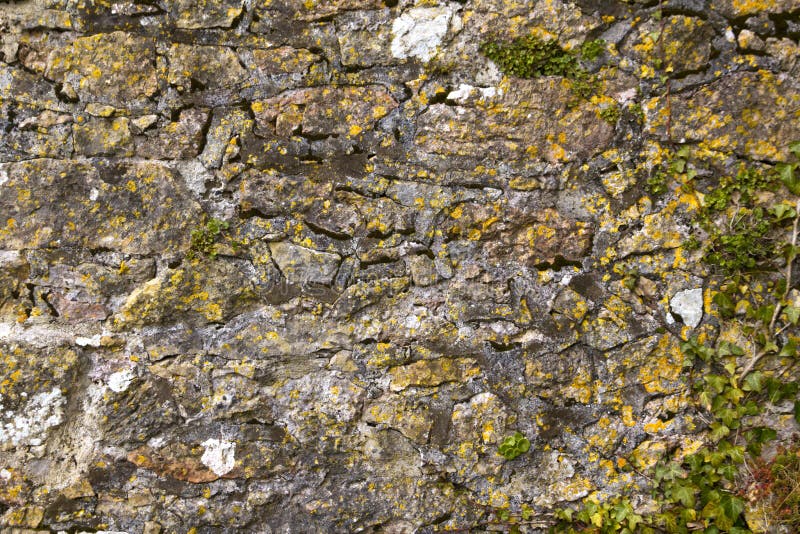 Stone Wall Texture Background Stock Image - Image of pembrokeshire ...