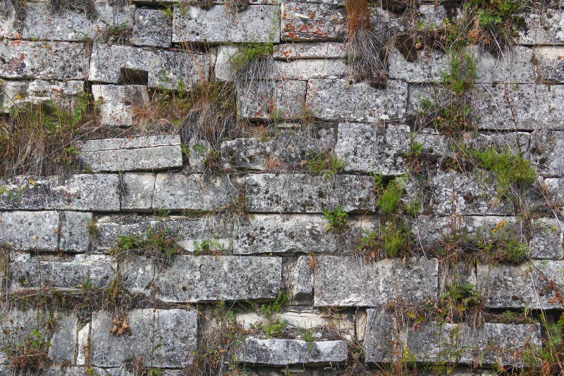 26,477 Wall Temple Texture Photos - Free & Royalty-Free Stock Photos ...