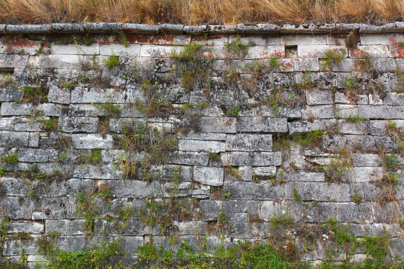 Old Stone Wall Texture Ancient Temple Stock Image - Image of plant ...