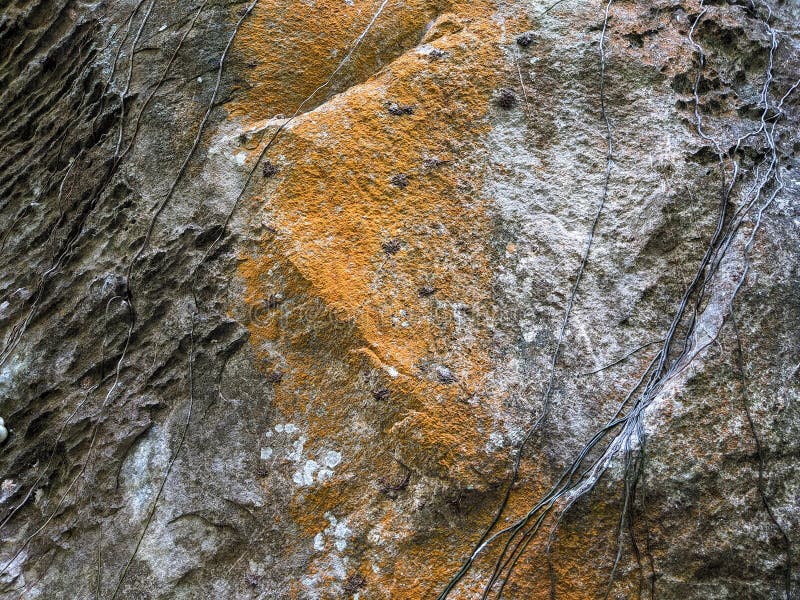 Old Stone Wall Texture in Cave Stock Photo - Image of wilderness ...
