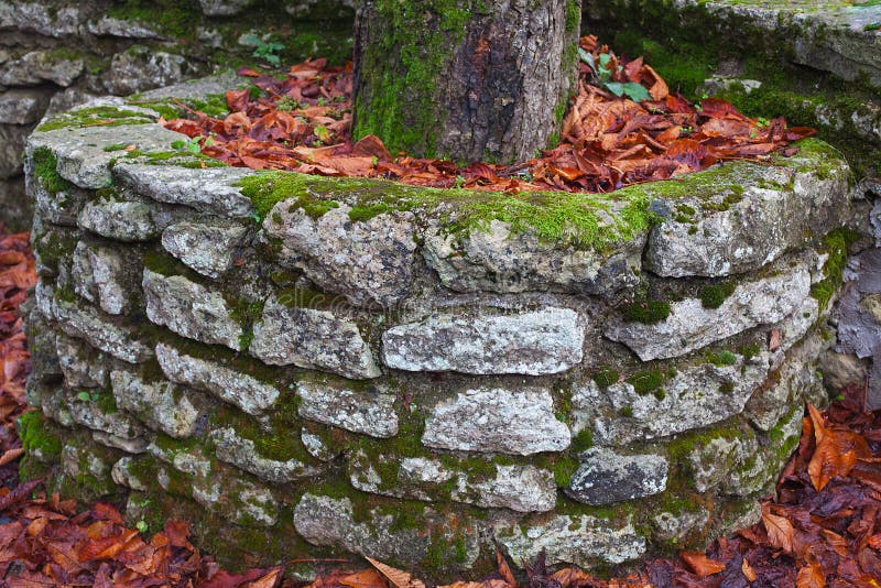 Old Stone Wall and Tree Trunk. Stock Photo - Image of architecture ...