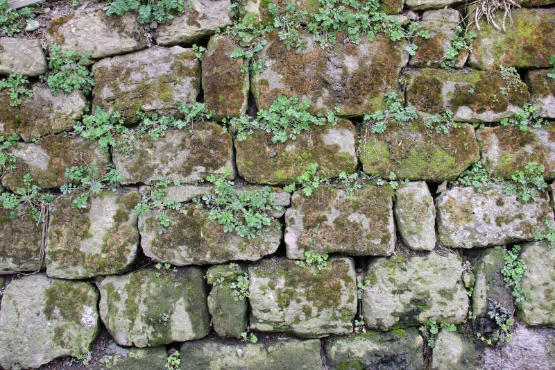 Old Stone Wall with Vegetation Stock Photo - Image of architecture ...
