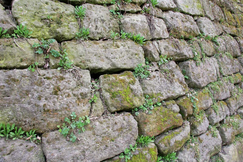 Old Stone Wall with Vegetation Stock Image - Image of gardening, rock ...