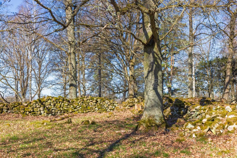 Old Stone Walls in an Old Cultural Landscape Stock Photo - Image of ...