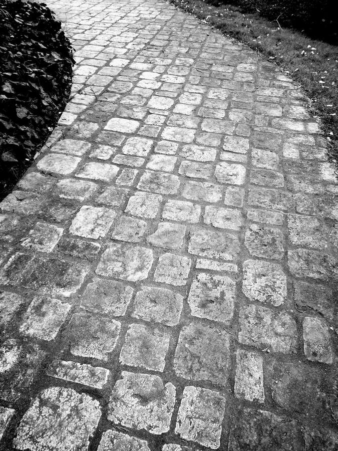 Old Stones on a path stock photo. Image of path, blackandwhite - 213380182