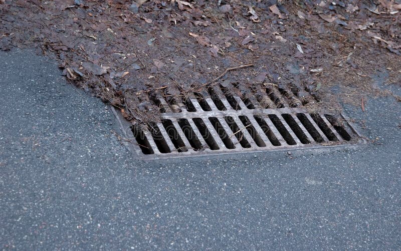 Storm Drainage Grate Partially Covered by Rotting Leaves from the ...