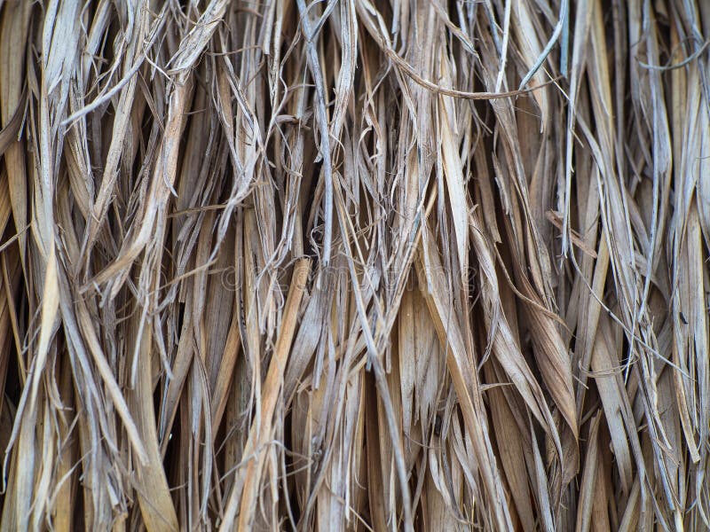 Old straw stock photo. Image of natural, gallery, vintage - 63995530