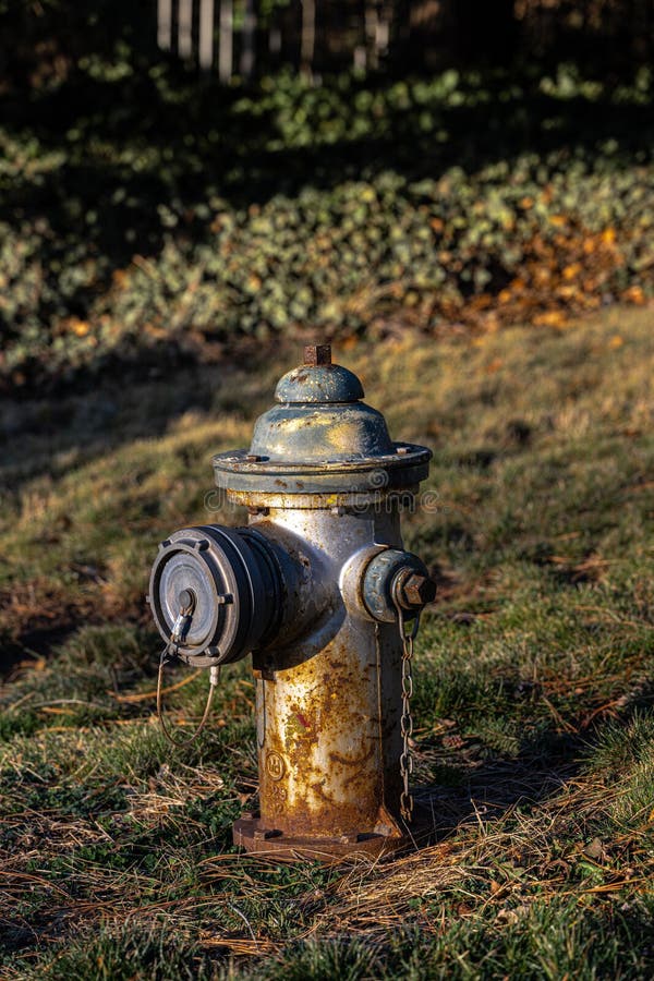 Old Street Hydrant stock photo. Image of white, iron - 238193008