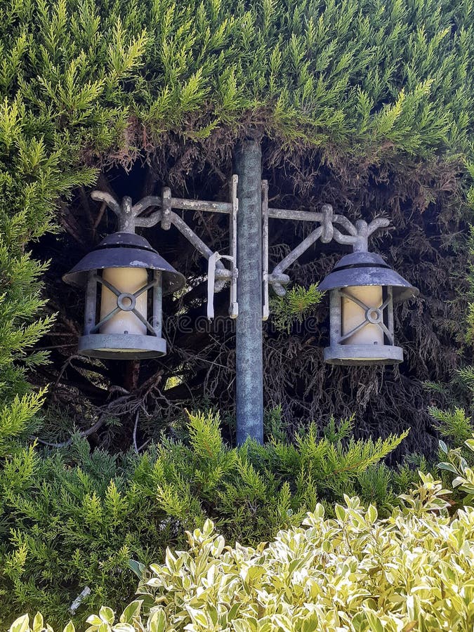 An Old Street Lamp Hidden in the Bush Stock Image - Image of cottage ...
