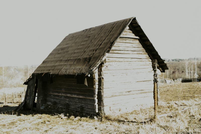 The Old Structure of the Tree. in it for a Long Time No One Lives Stock ...