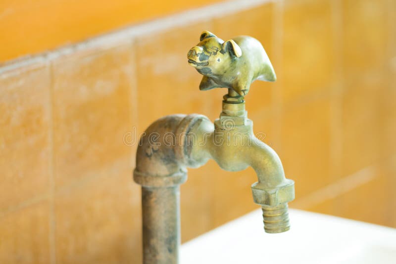 Old style faucet brass pig stock image. Image of toilet - 156359043