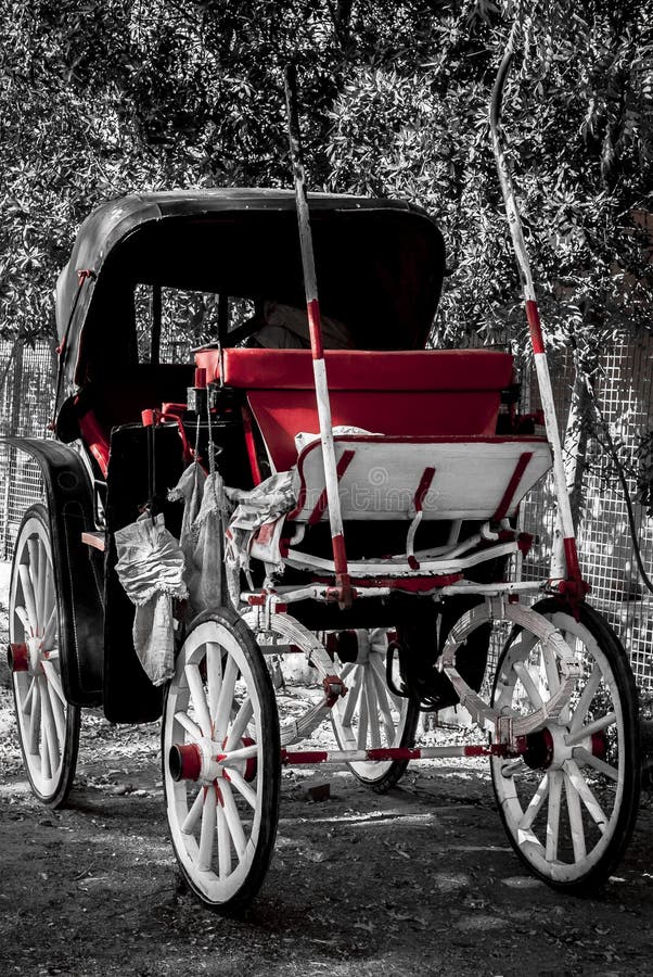 Old Style Horse Cart stock photo. Image of wheel, white - 172156632