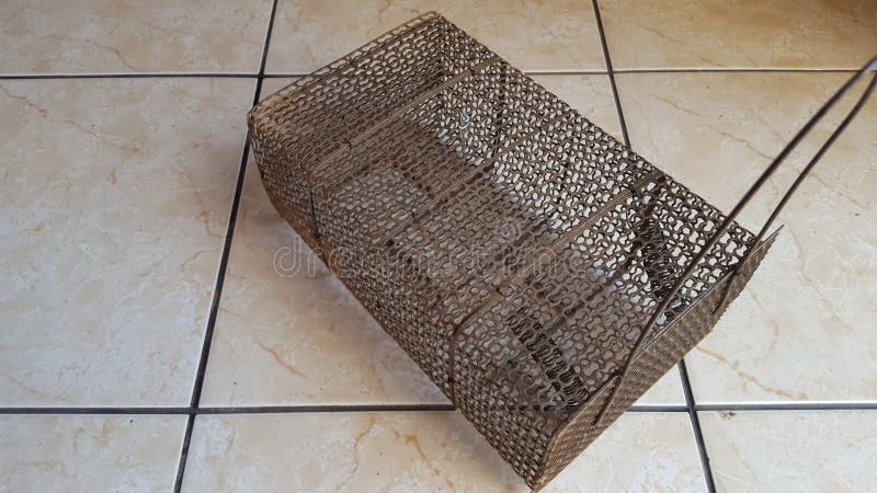 255 Mouse Traps Stock Photos - Free & Royalty-Free Stock Photos from ...