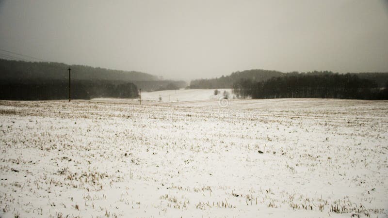 Old Style Photo of Empty Winter Field and Forest. Stock Photo - Image ...