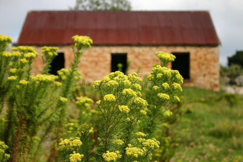 Old Style Stable stock image. Image of stable, roof, space - 4362471