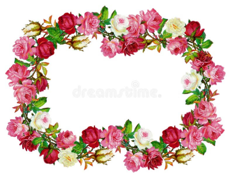 Old Style Vintage Rose Border Stock Illustration - Illustration of pink ...