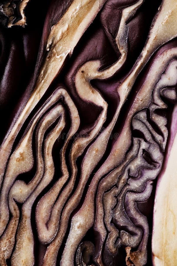 Old-styled Texture of Half-rotten Red Cabbage Stock Image - Image of ...
