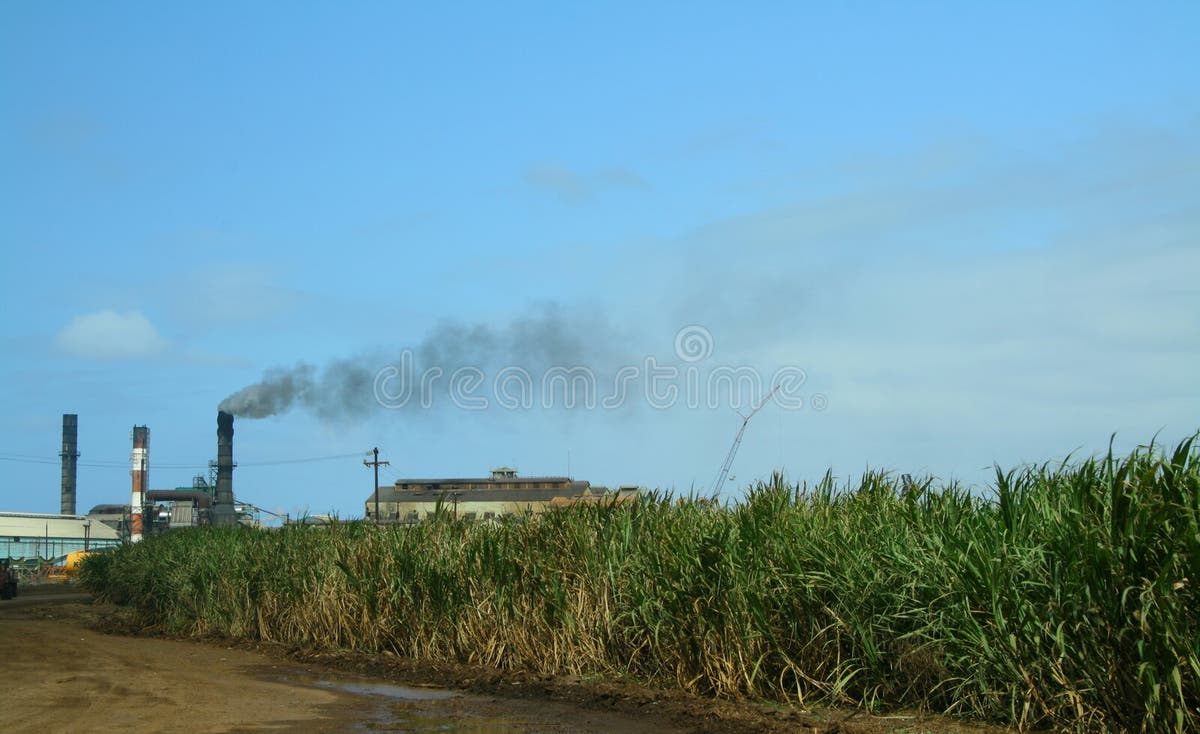 256 Sugar Cane Mill Process Stock Photos - Free & Royalty-Free Stock ...