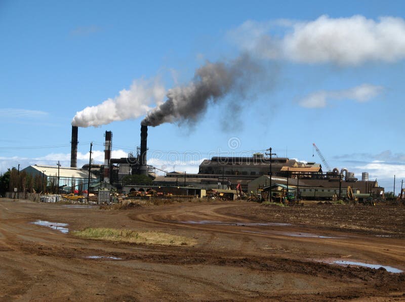 Old Sugar Mill & Sugar Cane Field Stock Image - Image of beige, sunny ...