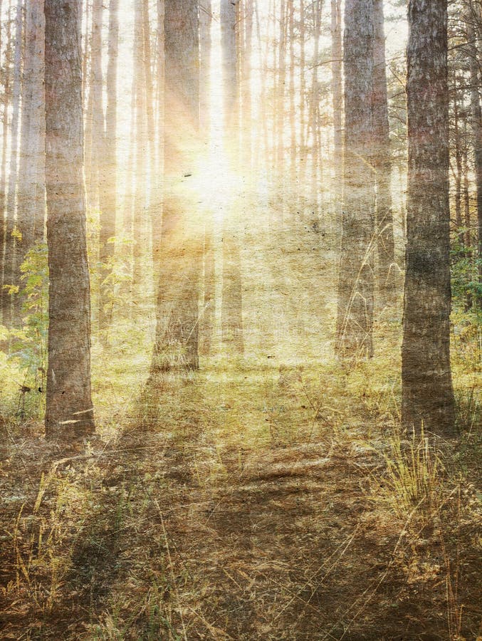 Old sunset illustration stock photo. Image of ancient - 173825322