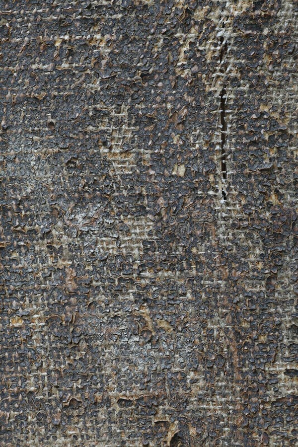 Old surface stock image. Image of pattern, weathered - 10569425