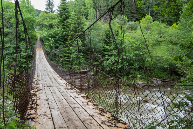 Old Suspension Bridge Over the River in the Forest Stock Image - Image ...