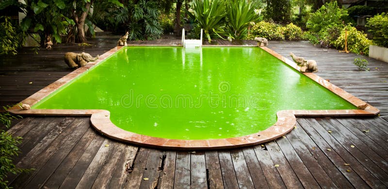 Old swimming pool stock photo. Image of green, grunge - 19572588