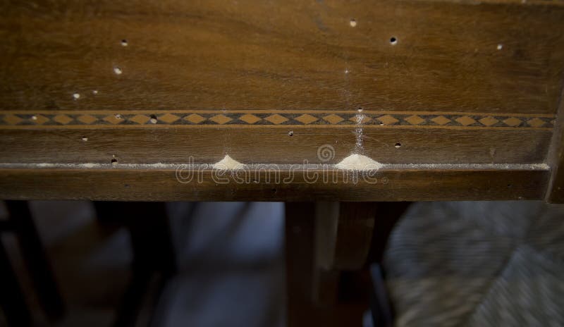 102 Woodworm Infestation Stock Photos - Free & Royalty-Free Stock ...