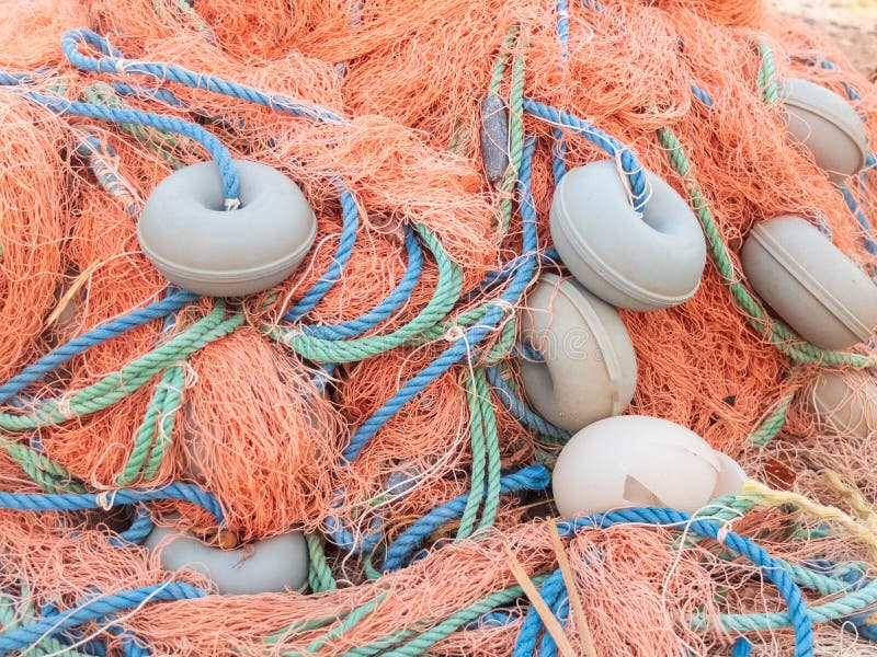 Northern Floaters Stock Photos - Free & Royalty-Free Stock Photos from ...