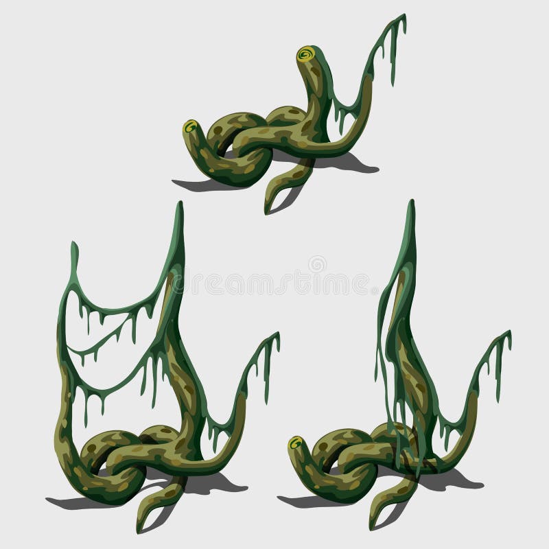 Old Tangled Roots of the Trees in Mud Stock Vector - Illustration of ...