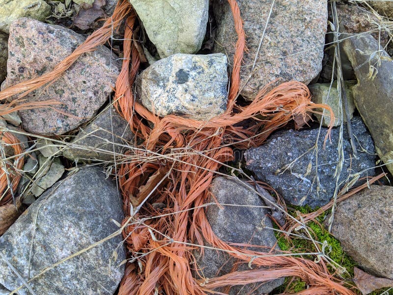 Old and Tangled Thread with Twine on a Background of Stones Closeup ...