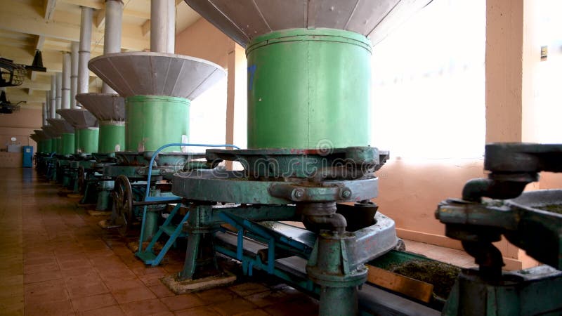 Old Tea Factory. Leaf Grinding Machine. Stock Video - Video of inside ...