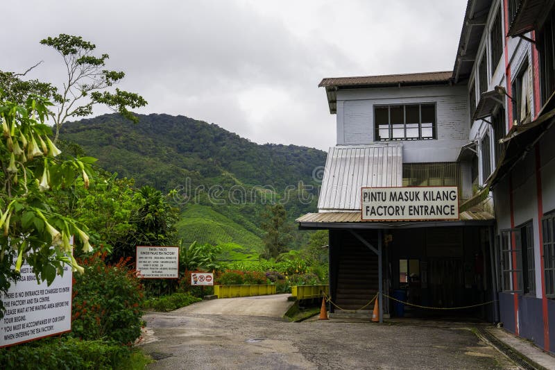 Old Tea Factory and Tea Plantation in Cameron Highlands. Tea Processing ...