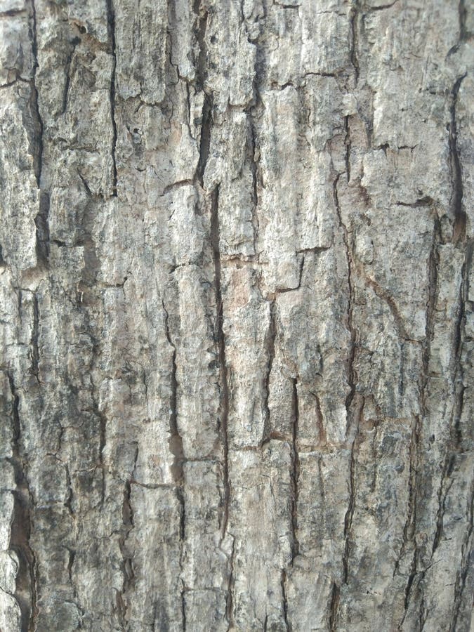 Old teak wood motif stock photo. Image of teak, motif - 331504666