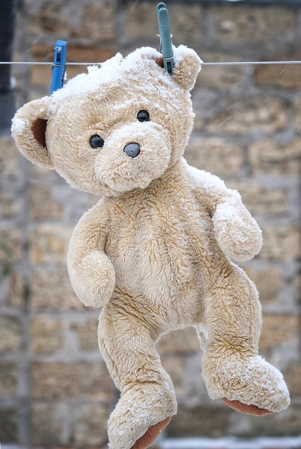 191 Teddy Bear Hanging Clothesline Stock Photos - Free & Royalty-Free ...