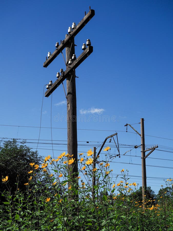 Old Railroad Telegraph Pole Stock Photo - Image of train, railroad: 625808 Old Railroad Telegraph Pole Stock Photo - Image of train, railroad: 625808