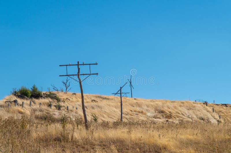 Old telegraph poles stock image. Image of sunny, rural - 42501207