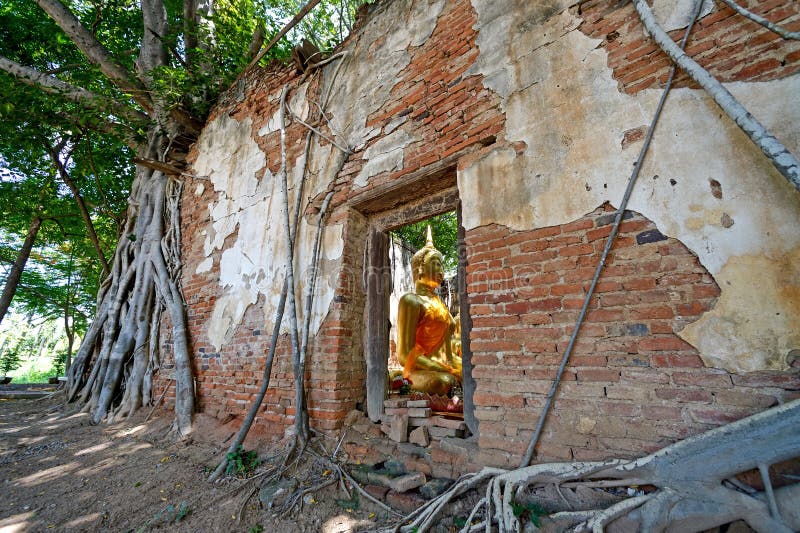 Old temple in tree stock image. Image of thailand, heritage - 90301571