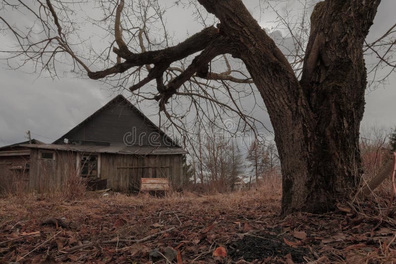 Old Terrible House Near a Big Tree Stock Image - Image of mysticism ...