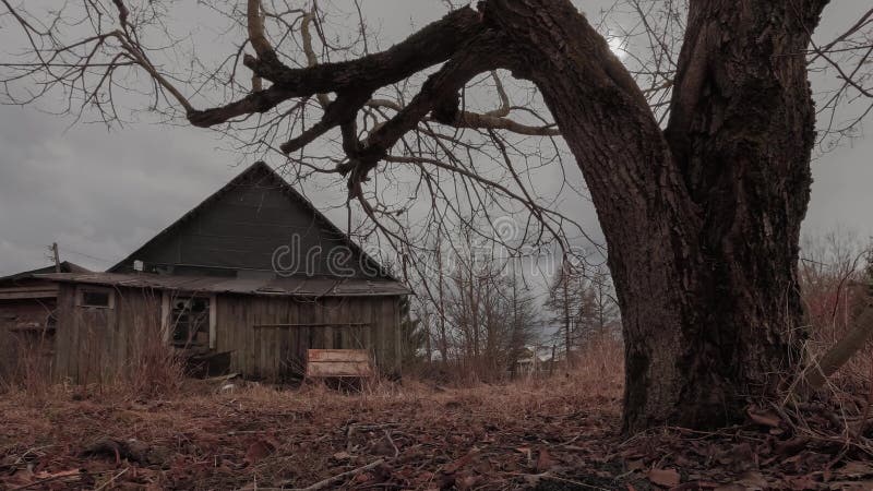 Old Terrible House Near a Big Tree Timelapse Stock Video - Video of ...
