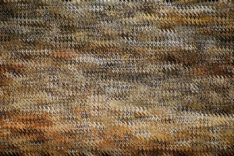 Old Textile Texture for Print or Design. Brown Background Stock Photo ...