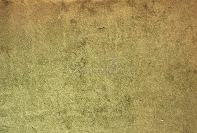 Old texture stock image. Image of drapery, antique, dark - 47574231