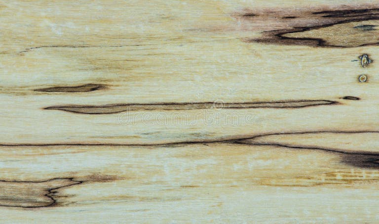 Old Texture - Mapple Stabilised Wood Stock Photo - Image of abstract ...
