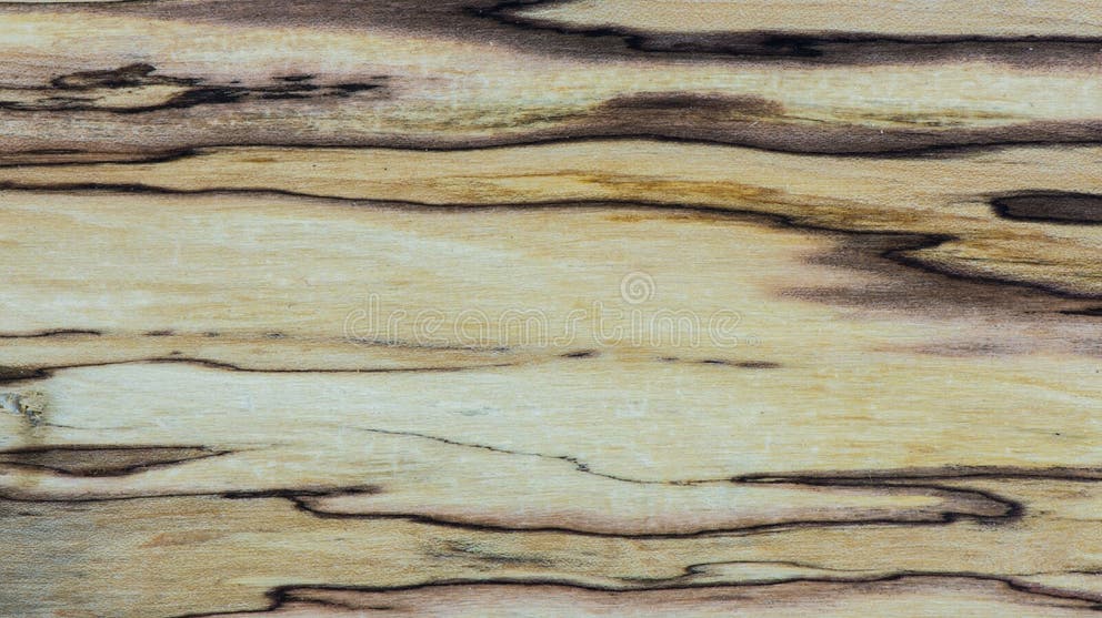 Old Texture - Mapple Stabilised Wood Stock Image - Image of grungy ...