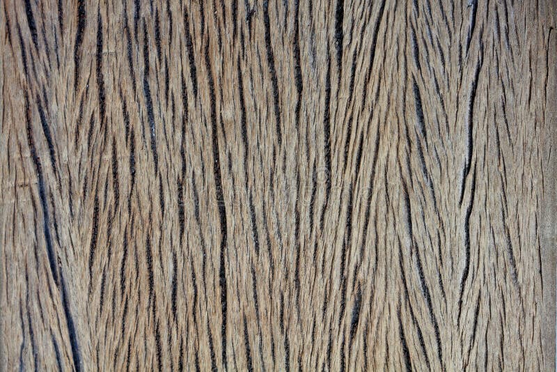 Old Texture and Pattern of Wood Stock Photo - Image of board, obsolete ...