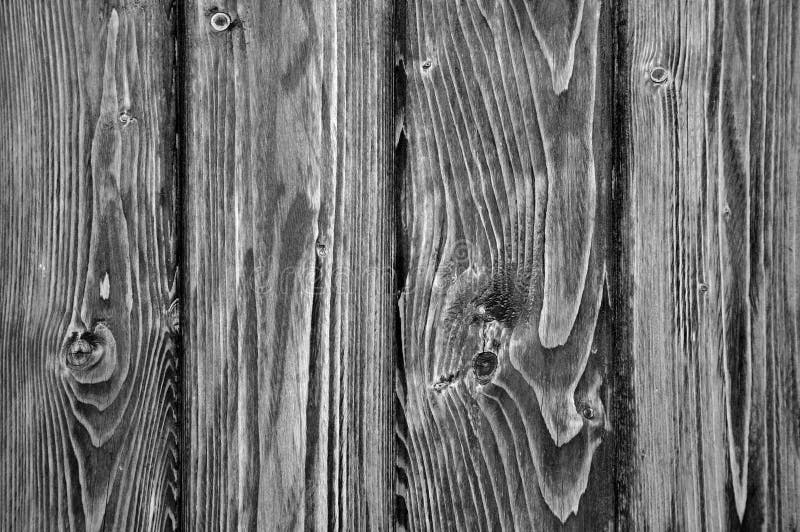 Old Textured Wood Panel. Element for Designers Stock Photo - Image of ...
